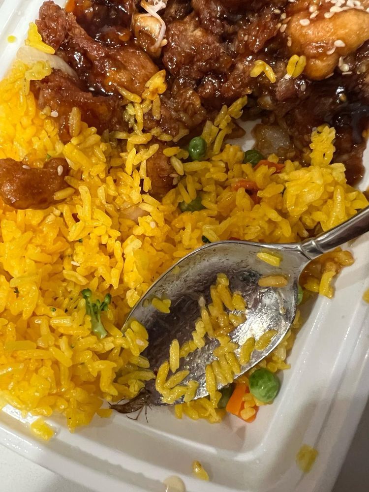 CHINA PAGODA CHINESE RESTAURANT - Updated January 2026 - 34 Photos & 66 ...