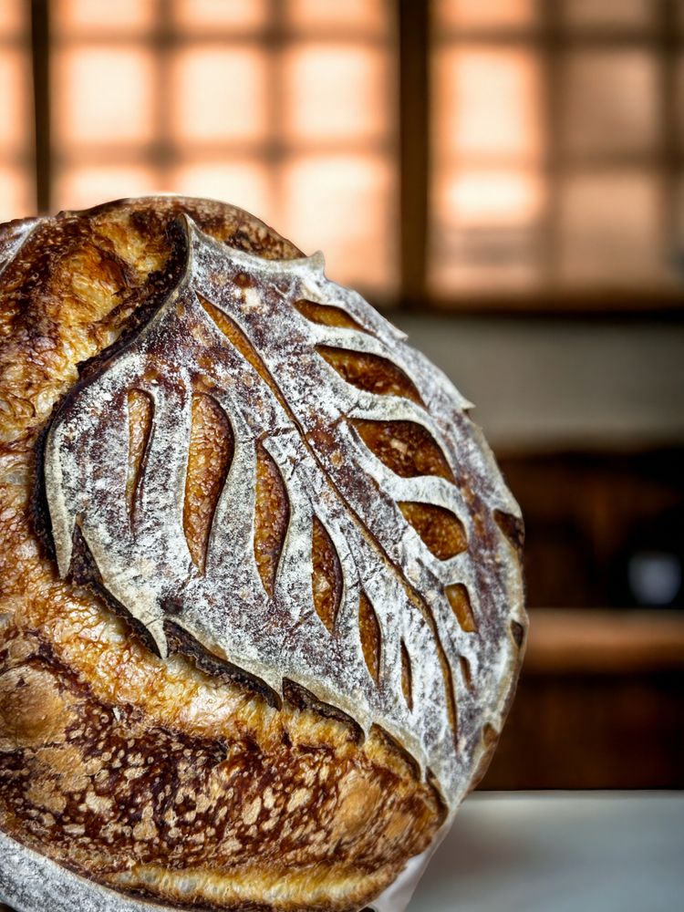 WANTZ AND KNEADS - Updated January 2026 - 29 Photos - 2646 Palma Dr ...