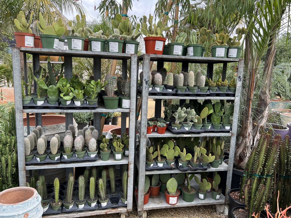 FLORA GRUBB GARDENS - Updated July 2024 - 24 Photos & 21 Reviews ...