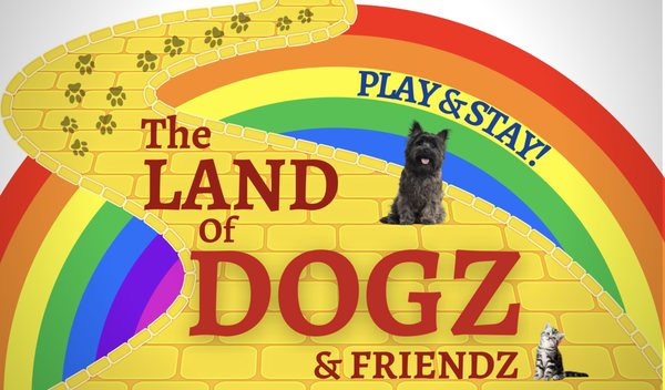 THE LAND OF DOGZ - Updated October 2025 - 18 Photos - 497 Florida Hwy ...