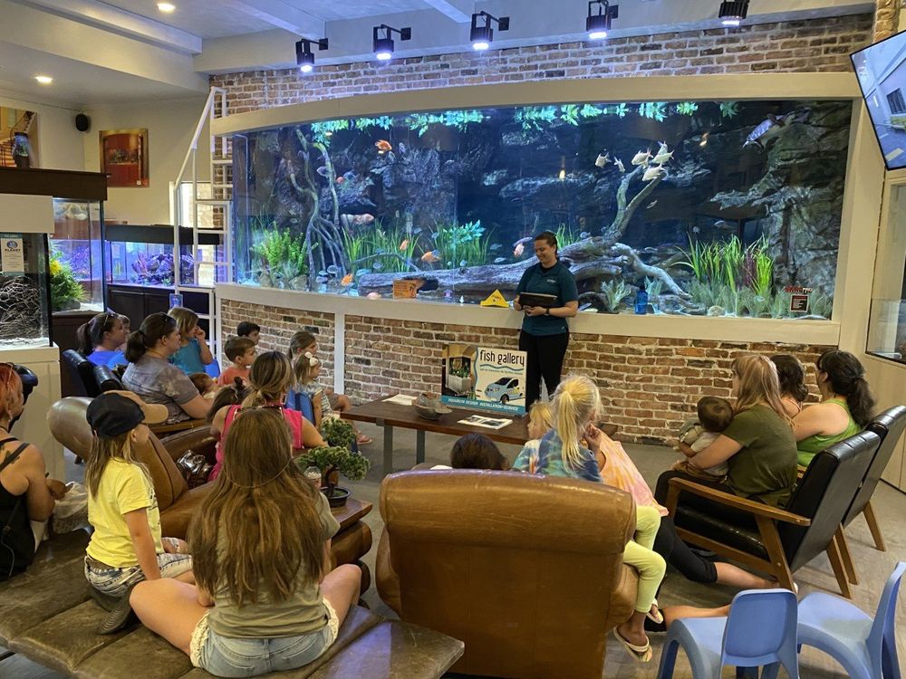 Pet Stores: THE FISH GALLERY - Updated October 2024 - 78 Photos & 104 ...