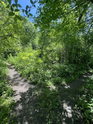 QUARRY HILL NATURE CENTER - Updated May 2025 - 225 Photos & 23 Reviews ...