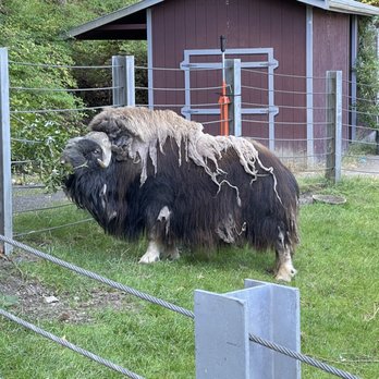 Photos of POINT DEFIANCE ZOO & AQUARIUM - Updated August 2024 - 1522 ...