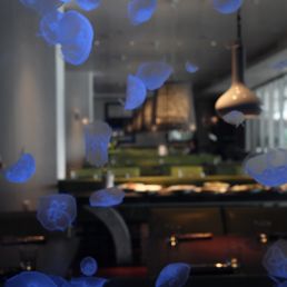 STEAK 954 - Updated December 2025 - 2131 Photos & 1300 Reviews - 401 N ...