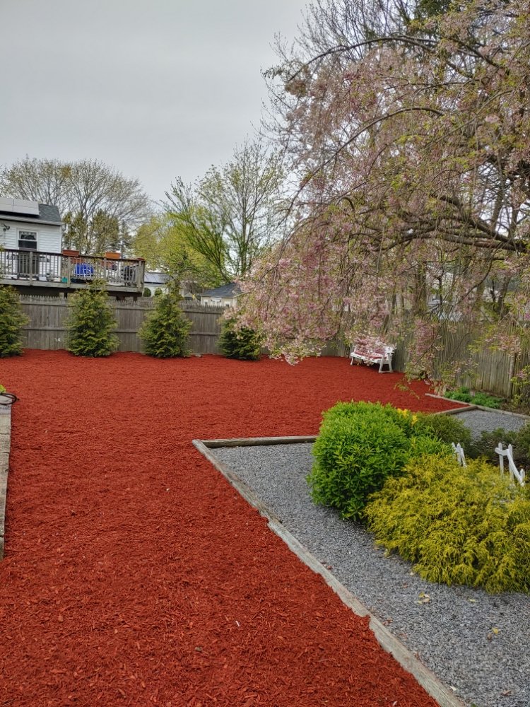 JONATHAN POWER WASHING AND CAR DETAILING - Updated May 2024 - Request a ...