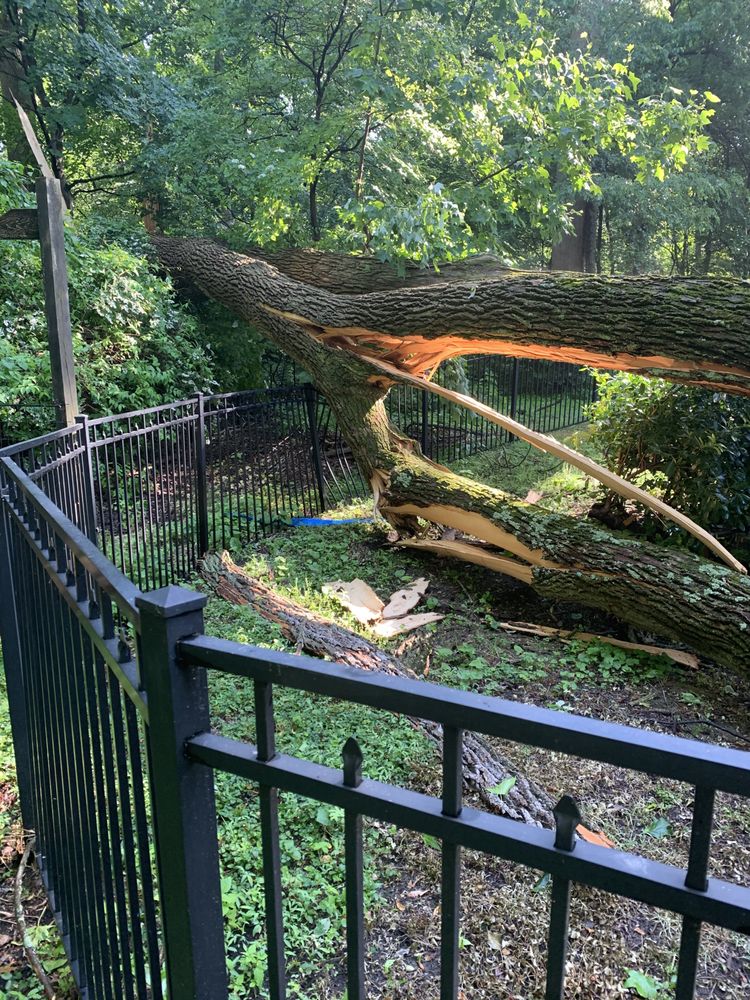 EAST COAST TREE SERVICE - Updated May 2024 - 12 Photos - 3 Northern Ave ...