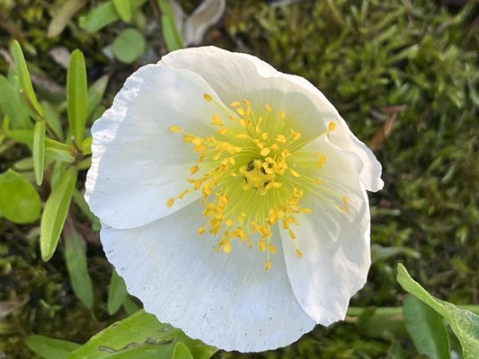 READER ROCK GARDEN - Updated December 2025 - 38 Photos - 325 25 Avenue ...