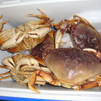 TRI OCEAN - Updated January 2026 - 47 Photos & 21 Reviews - 903 S ...