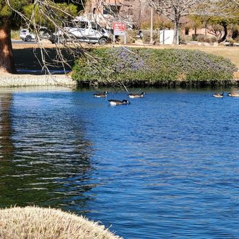 Photos of ALIANTE NATURE DISCOVERY PARK - Updated August 2024 - 374 ...