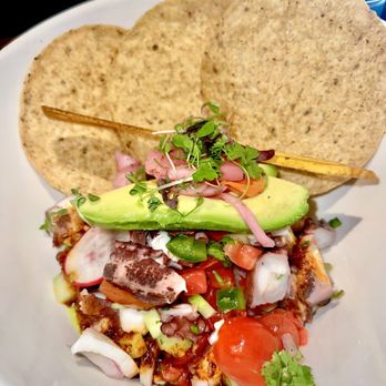 SOL AGAVE - Updated September 2024 - 919 Photos & 687 Reviews - 1733 ...