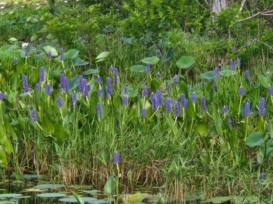 FISH CAMP TALLY - Updated January 2026 - 57 Photos & 26 Verified ...