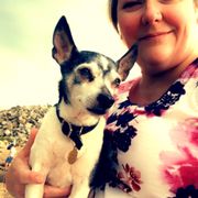 HALIBUT POINT STATE PARK - 139 Photos & 82 Reviews - Parks - 16 ...