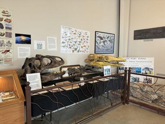 FOSSIL DISCOVERY CENTER OF MADERA COUNTY - Updated March 2025 - 119 ...