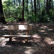 NATIVE AMERICAN SHELL RING - 13 Photos - Fish Island Trail, Hilton Head ...