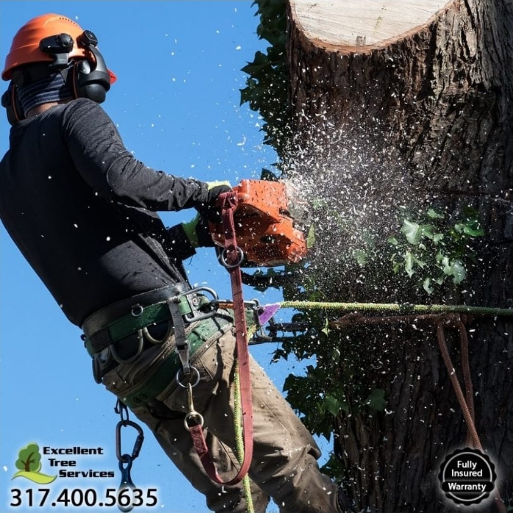 EXCELLENT TREE SERVICES - Updated October 2025 - 25 Photos ...