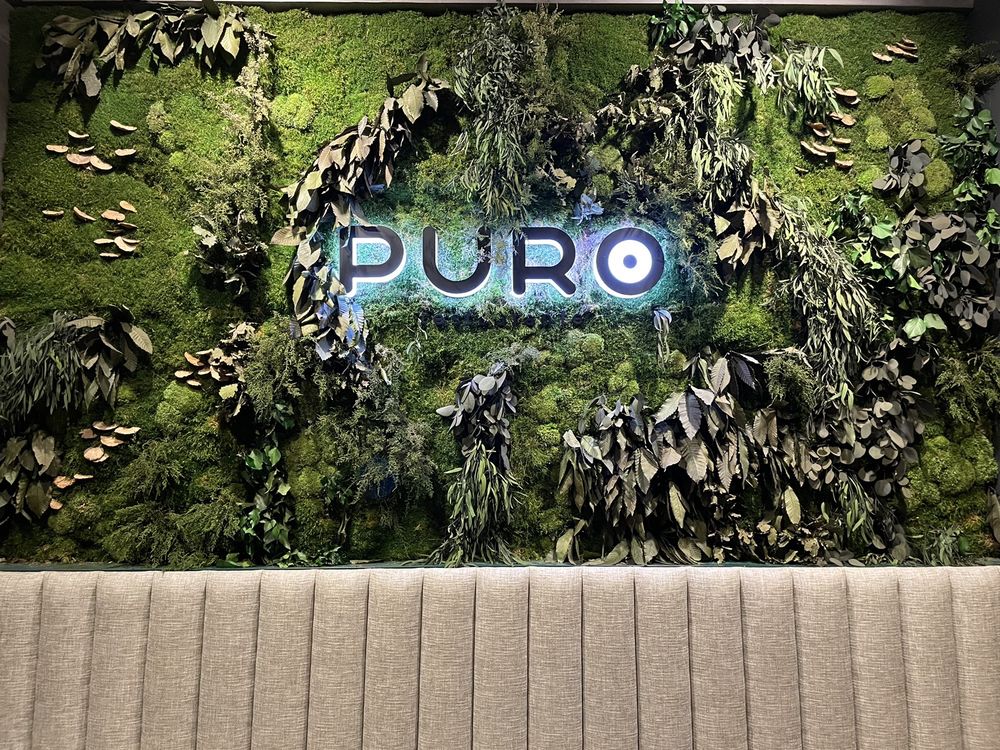 PURO - Updated May 2024 - R. Luciano Cordeiro 74A, Lisboa, Portugal ...