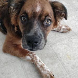 THE EMILY PROGRAM - SEATTLE - Updated July 2025 - 41 Reviews - 1700 ...