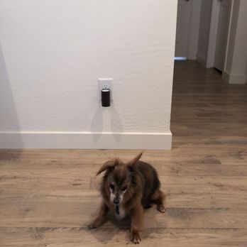 PAWGO - Updated July 2024 - 94 Photos & 149 Reviews - 46 W Hatcher Rd ...