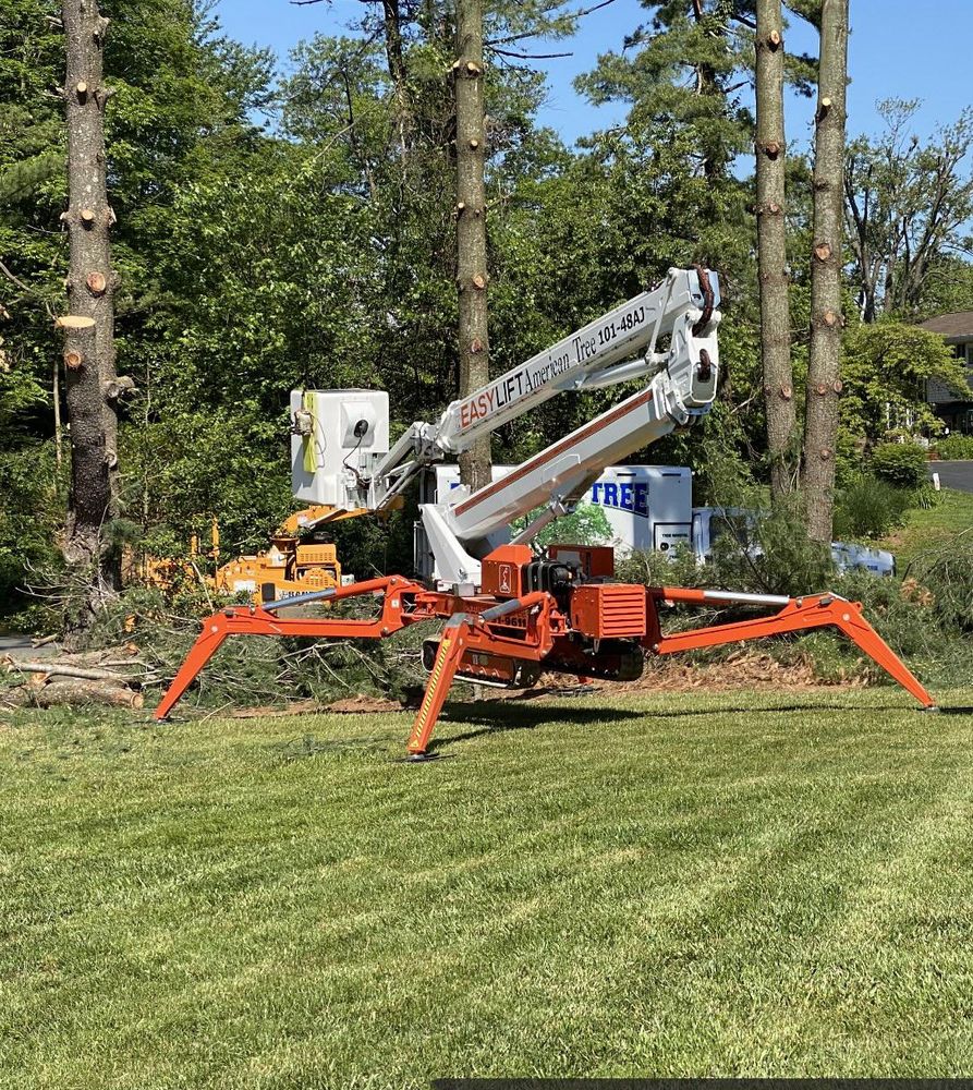 AMERICAN TREE & SERVICES - Updated June 2025 - 42 Photos - 5501 ...