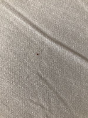 MACDILL INN - Updated December 2025 - 58 Photos & 25 Reviews - 7637 ...