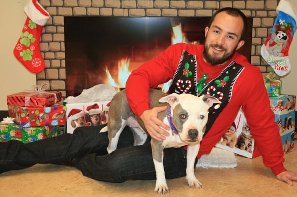 WHATCOM HUMANE SOCIETY - Updated December 2025 - 124 Photos & 43 ...