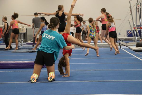 TEGA KIDS - Updated October 2025 - 34 Photos & 13 Reviews - 4525 ...