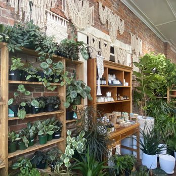 CITY GROWS - Updated December 2025 - 54 Photos & 30 Reviews - 5208 ...