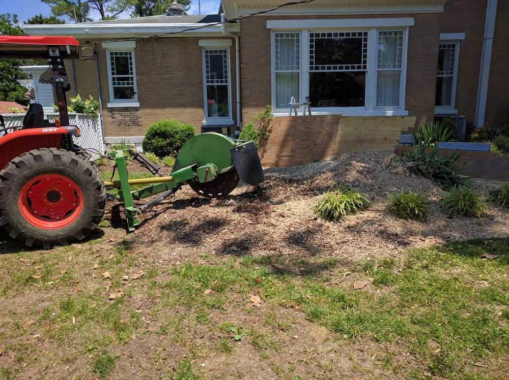 WALTER’S STUMP SOLUTIONS - Request a Quote - Tree Services - 265 ...