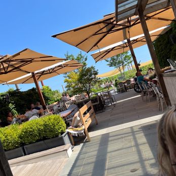 ROSE HILL VINEYARDS - Updated November 2024 - 506 Photos & 304 Reviews ...