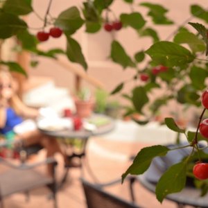 RUBY K’S BAGEL CAFE - Updated December 2025 - 48 Photos & 98 Reviews ...