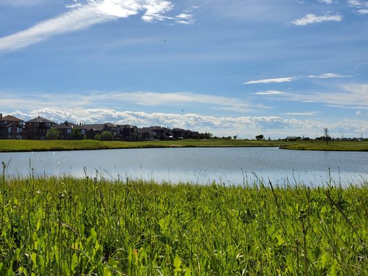 THE TRACK GOLF COURSE - Updated September 2025 - 15 Photos - 333 ...