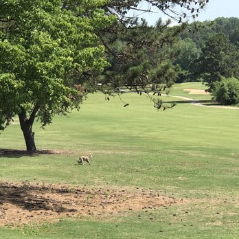 BROWNS MILL GOLF COURSE - Updated December 2025 - 121 Photos & 19 ...