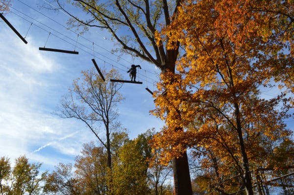 THE ADVENTURE PARK AT SANDY SPRING FRIENDS SCHOOL - Updated December ...
