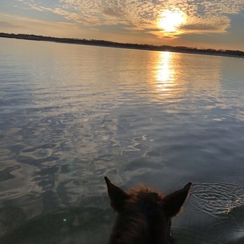 CEDAR ISLAND RANCH - Updated January 2026 - 95 Photos & 13 Verified ...