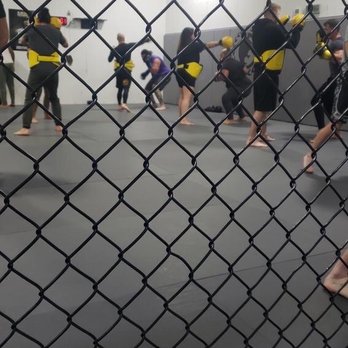 STOUT PGH - TEAM RENZO GRACIE - Updated December 2025 - 28 Photos & 37 ...