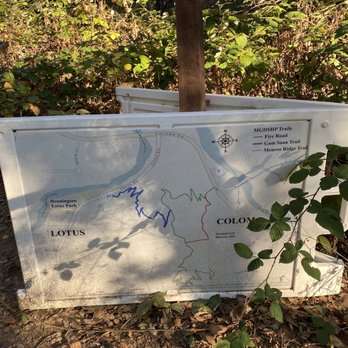 HENNINGSEN LOTUS PARK - Updated December 2025 - 81 Photos & 22 Reviews ...