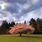 HICKMAN PARK - 21 Photos & 13 Reviews - Parks - 23700 104th Ave W ...