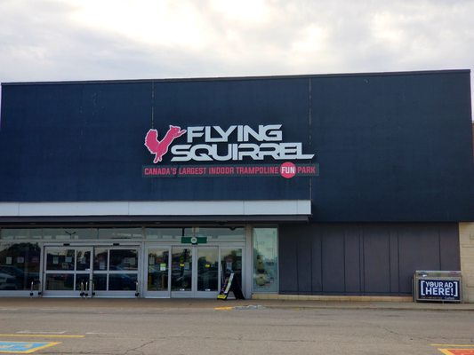 FLYING SQUIRREL - 42 Photos & 16 Reviews - 1550 Upper James Street ...