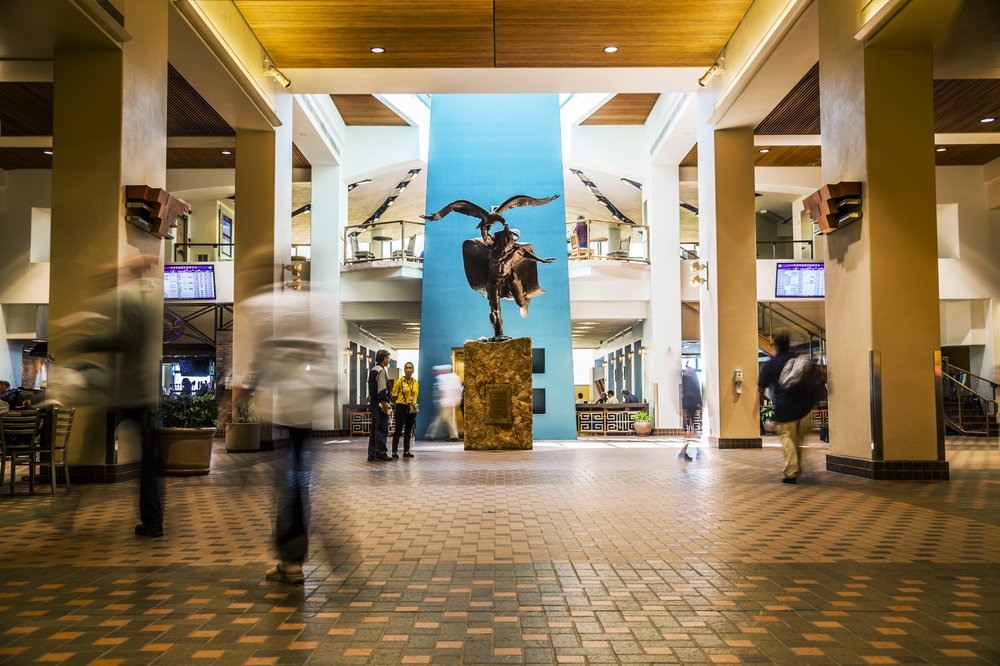 CLIENTS LOVE TONI - Updated September 2024 - Contact Agent - 7441 ...