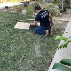 RODENT CONTROL - 70 Photos & 223 Reviews - 5455 Wilshire Blvd, Los ...