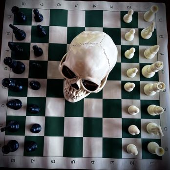 AVA ROASTERIA - Updated June 2025 - 76 Photos & 199 Reviews - 15135 SW ...