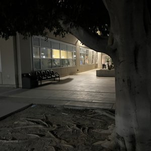 SAC HEALTH SYSTEM - Updated June 2024 - 10 Photos & 47 Reviews - 250 S ...