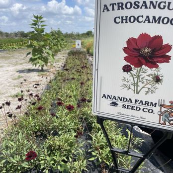 ANANDA FARM - TEMP. CLOSED - Updated January 2026 - 91 Photos & 38 ...