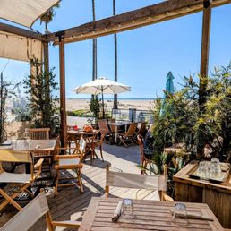 FIG TREE VENICE - Updated January 2025 - 1111 Photos & 682 Reviews ...