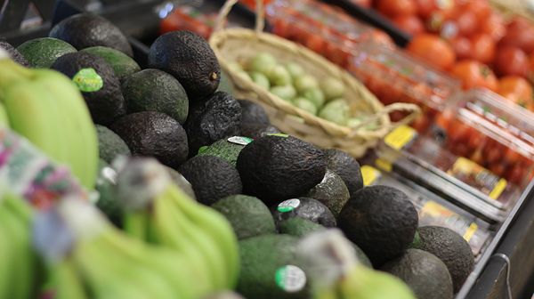 EARTH ORIGINS MARKET - 39 Photos & 33 Reviews - 1917 E Silver Springs ...