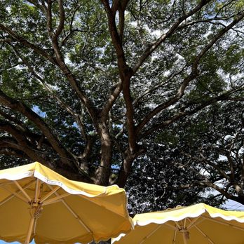 JAVA KAI KOLOA - Updated March 2025 - 107 Photos & 44 Reviews - 5356 ...