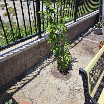 CLAUSEN NURSERY - Updated December 2025 - 112 Photos & 102 Reviews ...