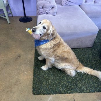 BELLOWS FILM LAB MIAMI - Updated October 2025 - 56 Photos & 38 Reviews ...