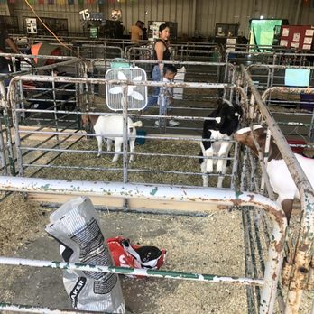 SOLANO COUNTY FAIRGROUNDS - Updated December 2025 - 177 Photos & 32 ...