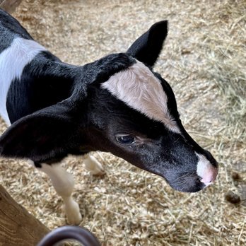 FRYING PAN FARM PARK - Updated January 2026 - 374 Photos & 101 Real ...